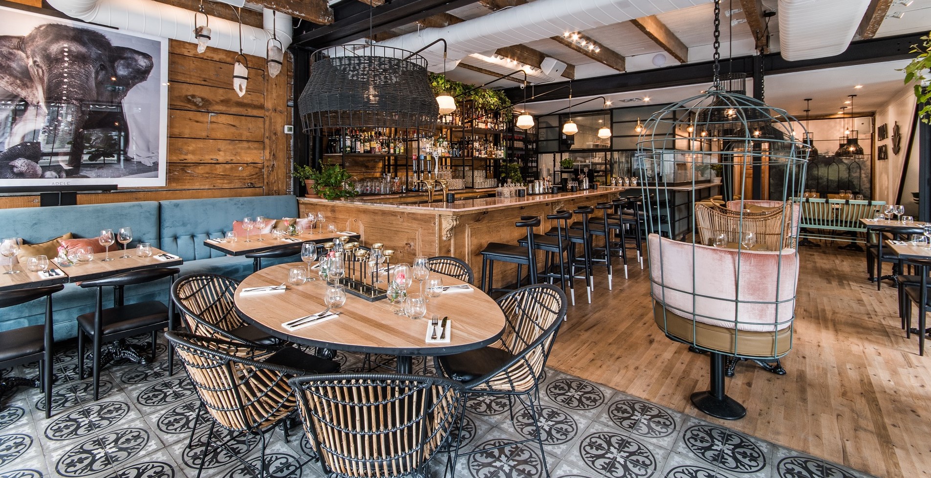 Blogue India Rosa - conseils et recettes de fine cuisine indienne