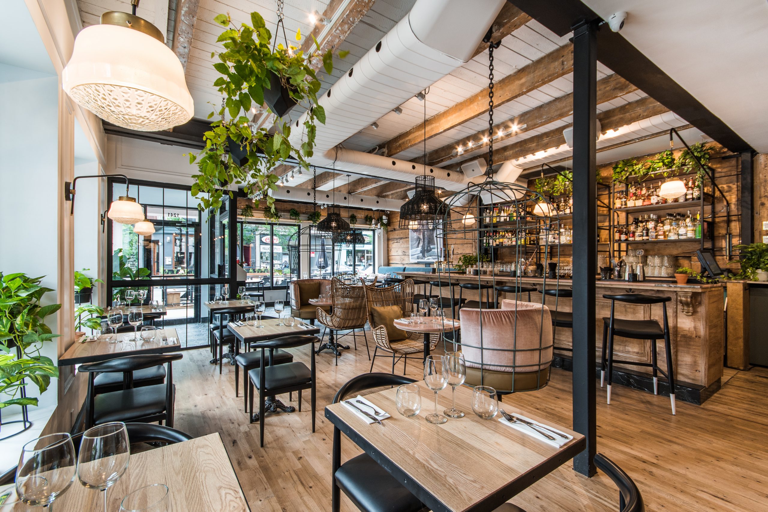 Infolettre du India Rosa - Offre exclusives, Promotions et Événements